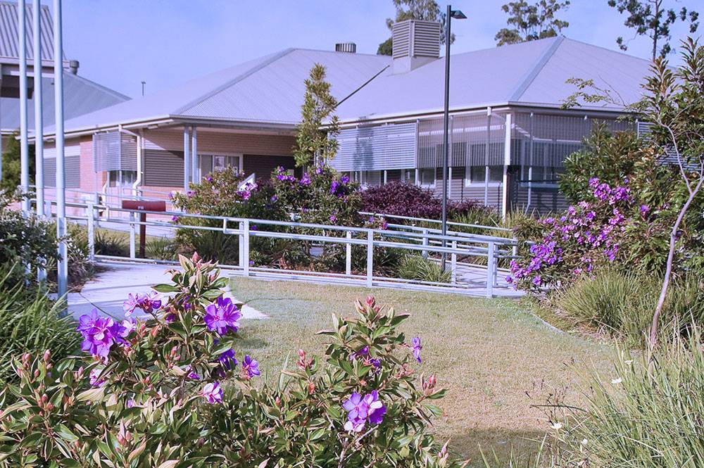 Springfield Lakes State School | Landscape Design for Schools | Citicene