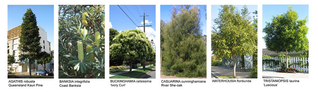 Brisbane Landscape Architects - Improving Brisbane's Liveability