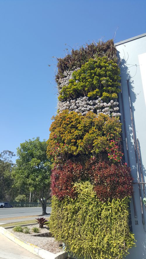 Green Walls and Vertical Gardens - Make a Difference