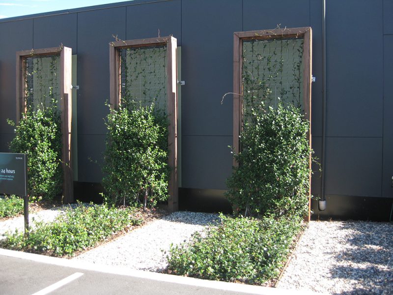 Green Walls and Vertical Gardens - Make a Difference
