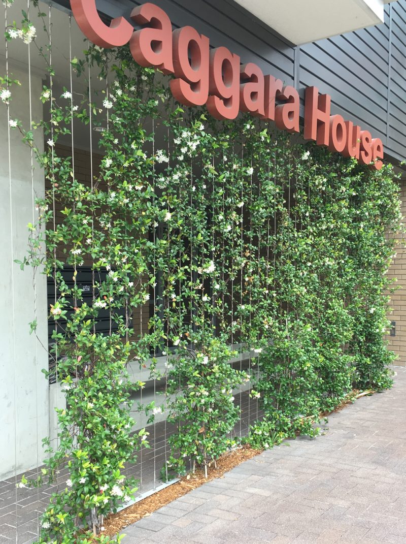 Green Walls and Vertical Gardens - Make a Difference