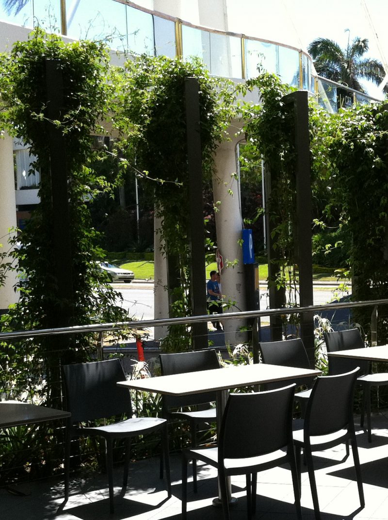 Green Walls and Vertical Gardens - Make a Difference