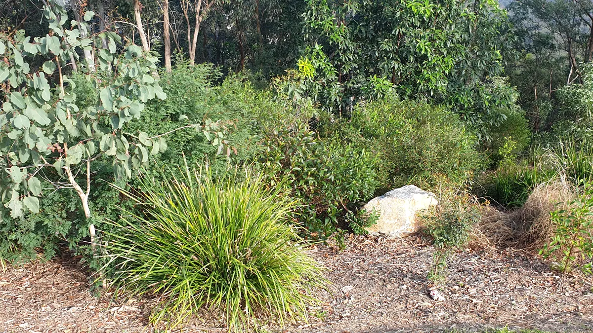 Xeriscaping - What is it and how does it work?